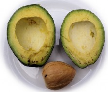 Avokádo - Základní popis - Exotické ovoce